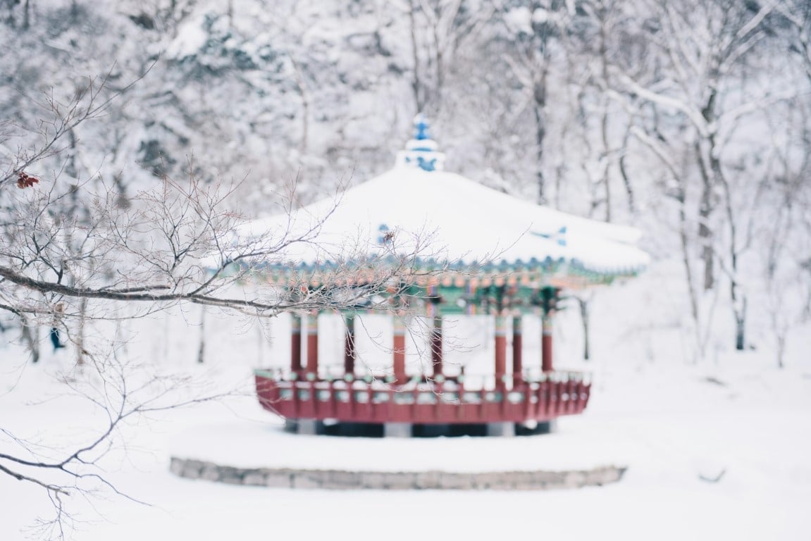 South Korea in December: Weather, Events & What Else to Expect